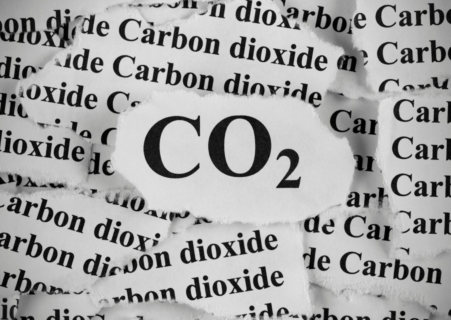 Breathe Better, Live Stronger: The Power of CO2 Tolerance - Hobson ...